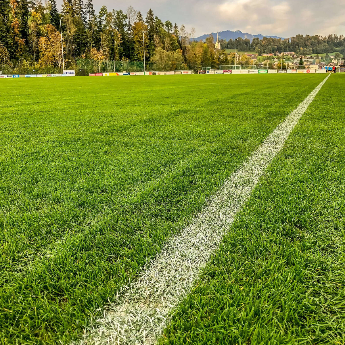 Soccer Field Layout [Youth, Standard, and Pro] – Open Goaaal USA
