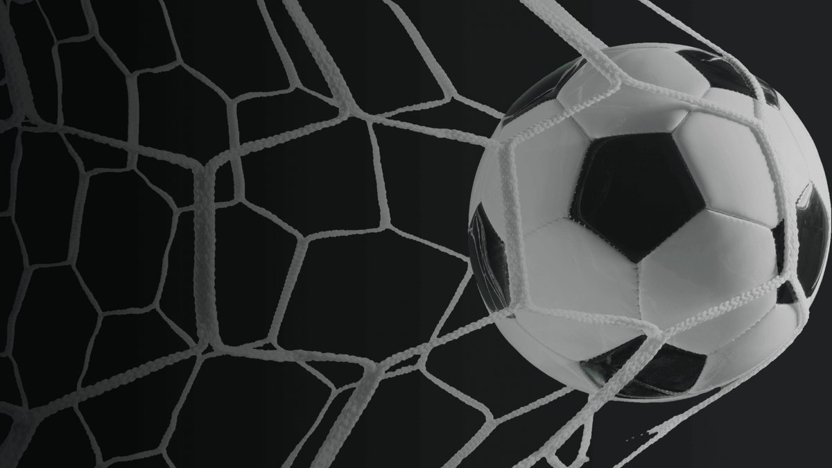 FAQs – Open Goaaal USA